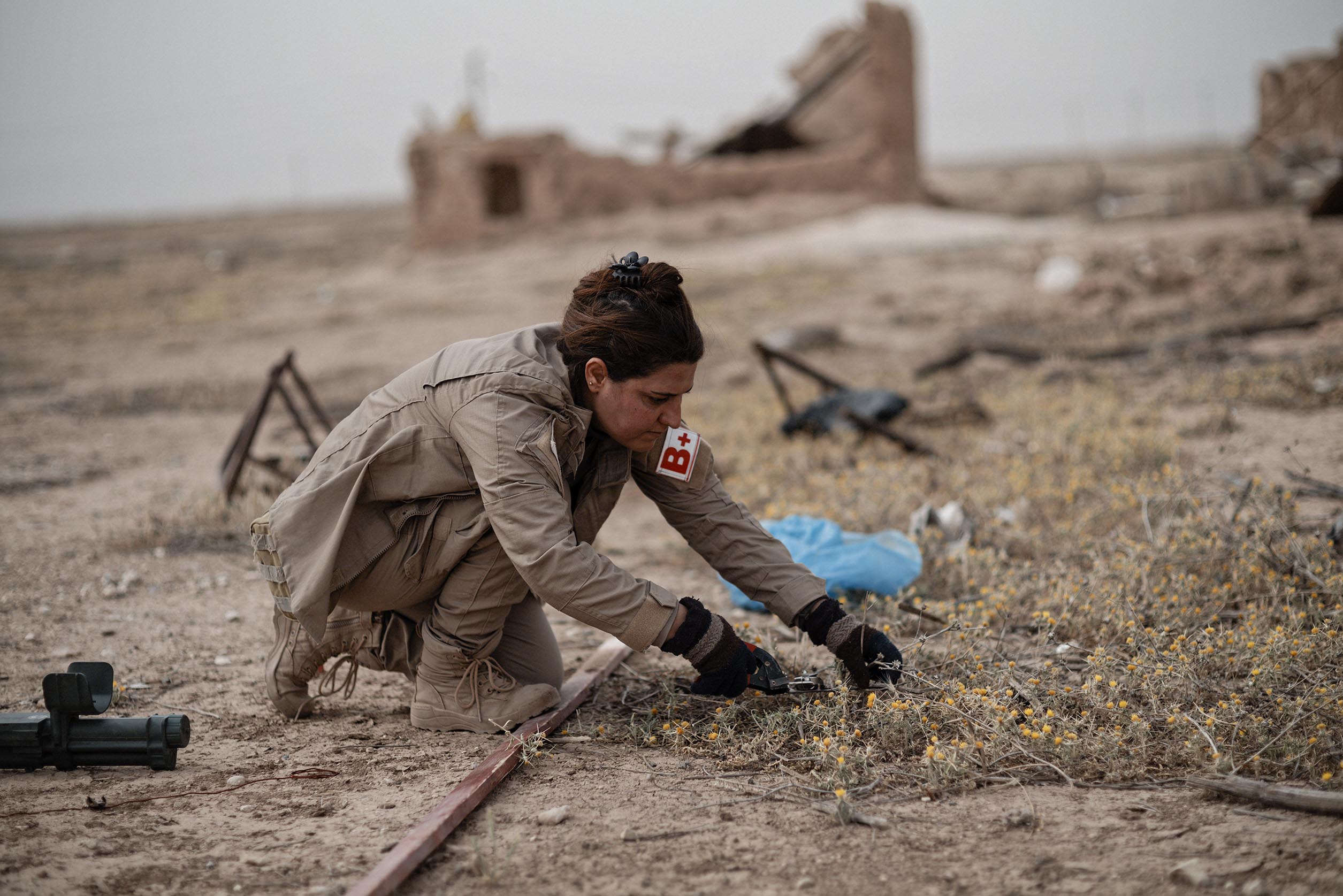 New report: Renewing the EU's commitment to a comprehensive and ...